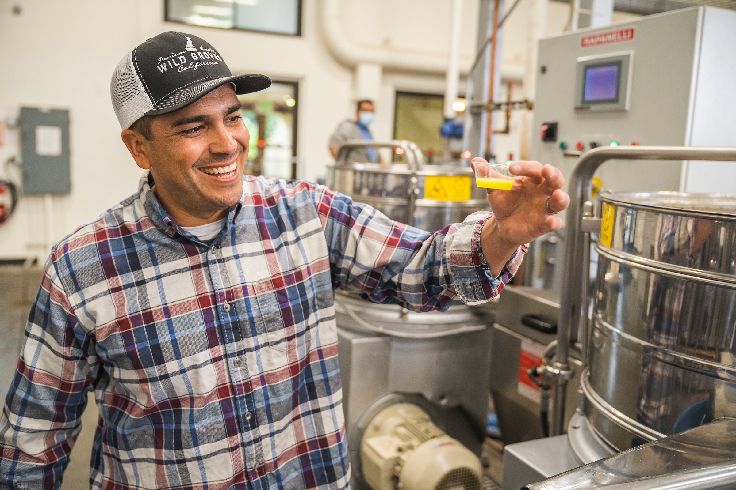 See how we make extra virgin olive oil! – Wild Groves