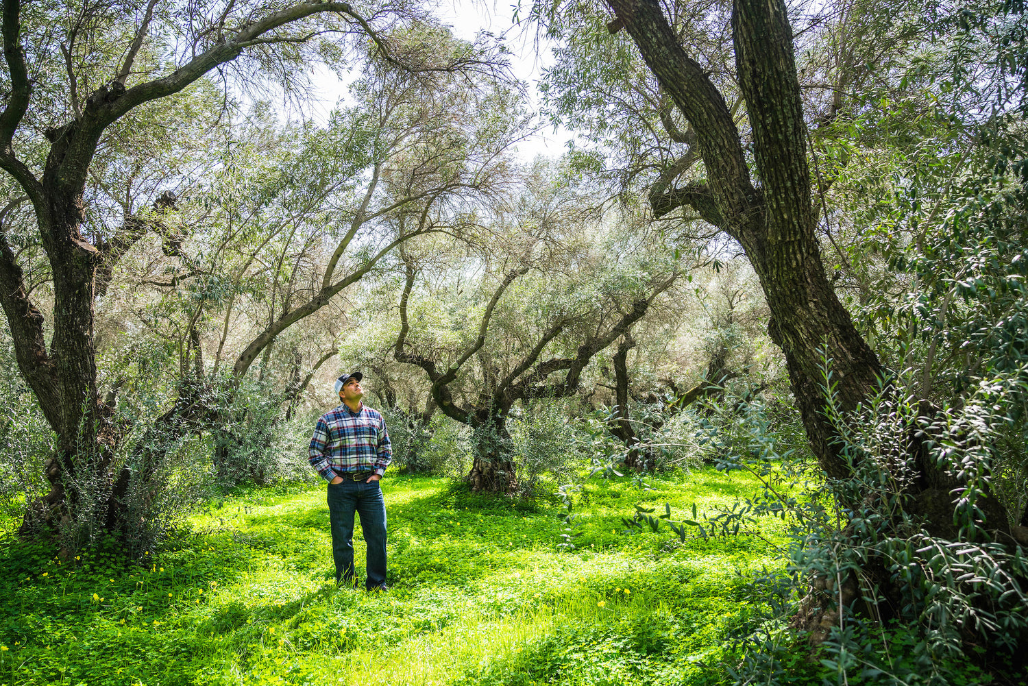 OUR STORY – Wild Groves