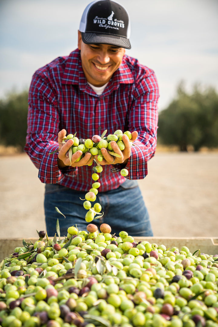 California olive oil and gourmet foods – Wild Groves