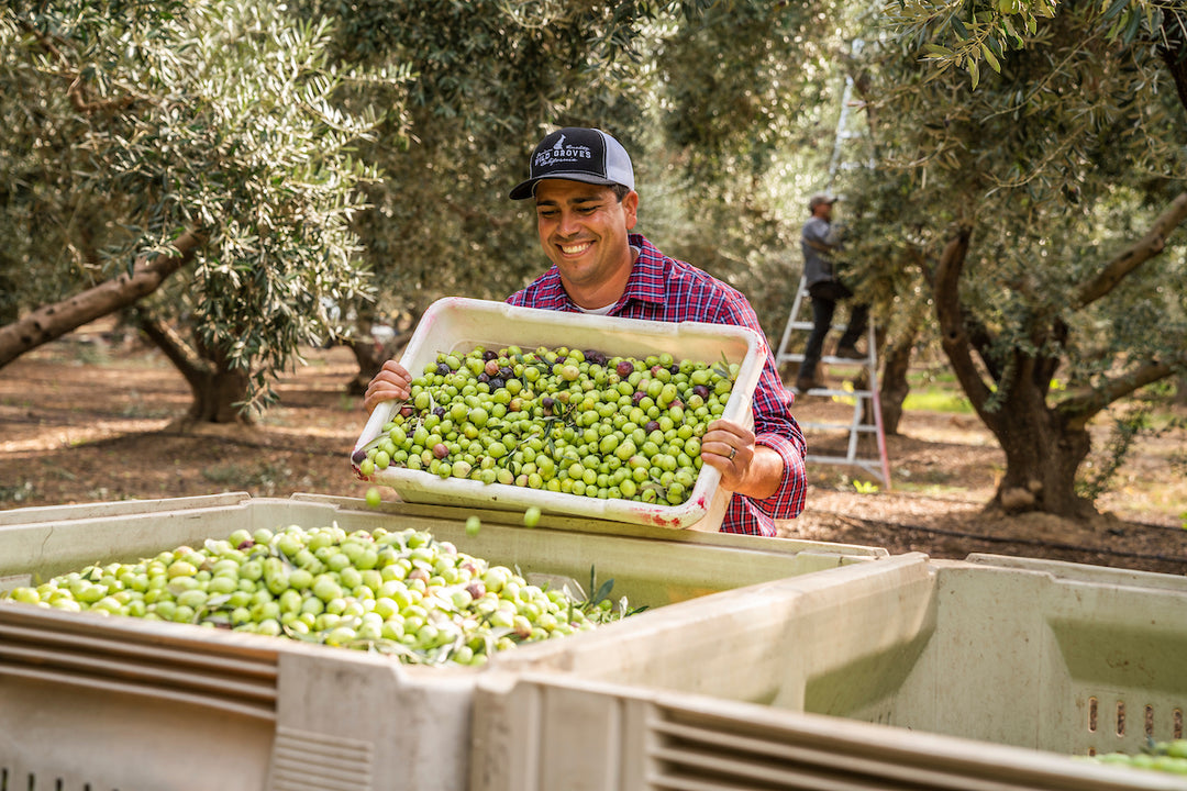 California olive oil and gourmet foods – Wild Groves