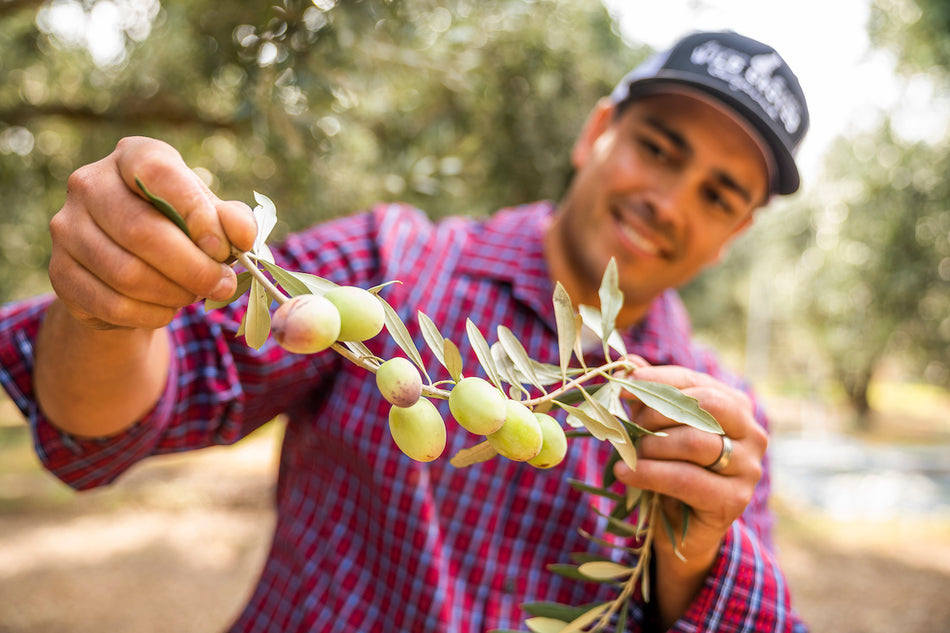 OUR STORY – Wild Groves